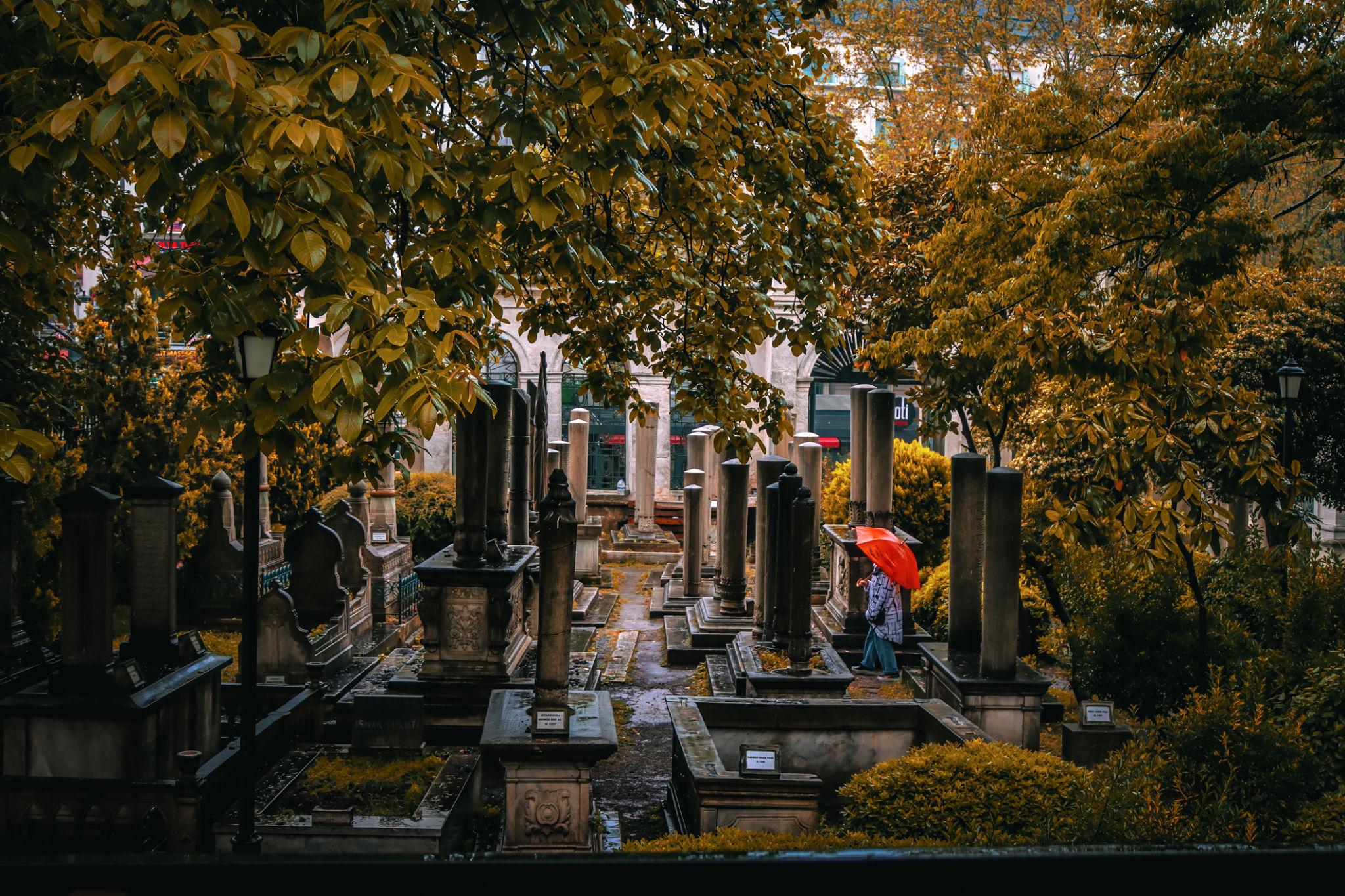 Funeral Homes - Independent Funeral Directors | Academy Funerals